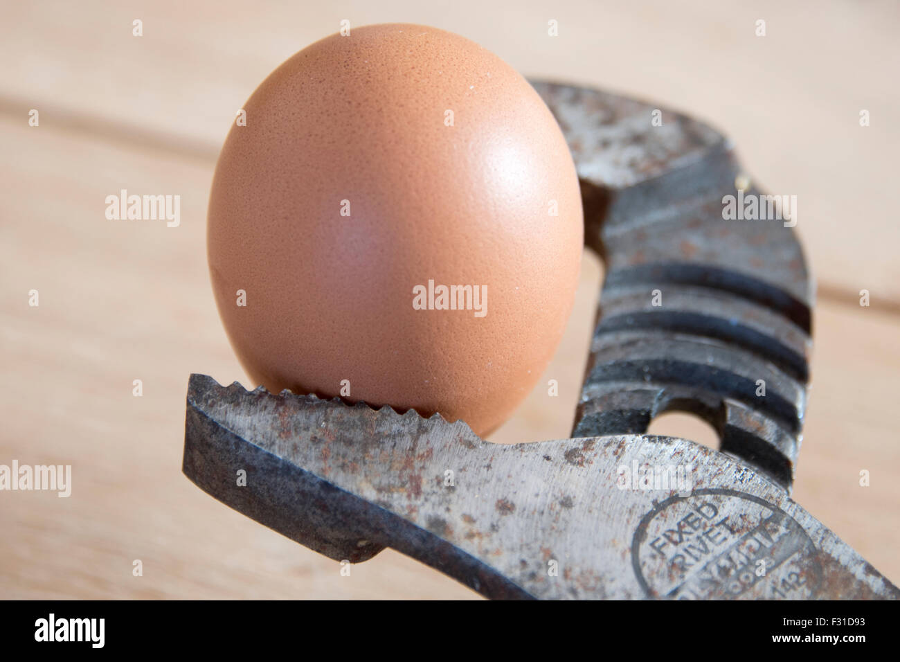 Egg held in pipe grips Stock Photo - Alamy
