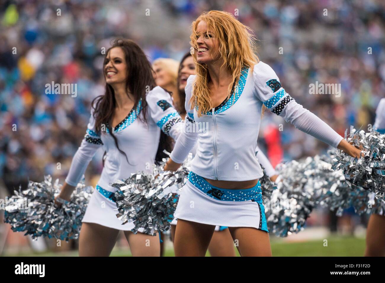 Carolina panthers cheerleaders hi-res stock photography and images - Alamy