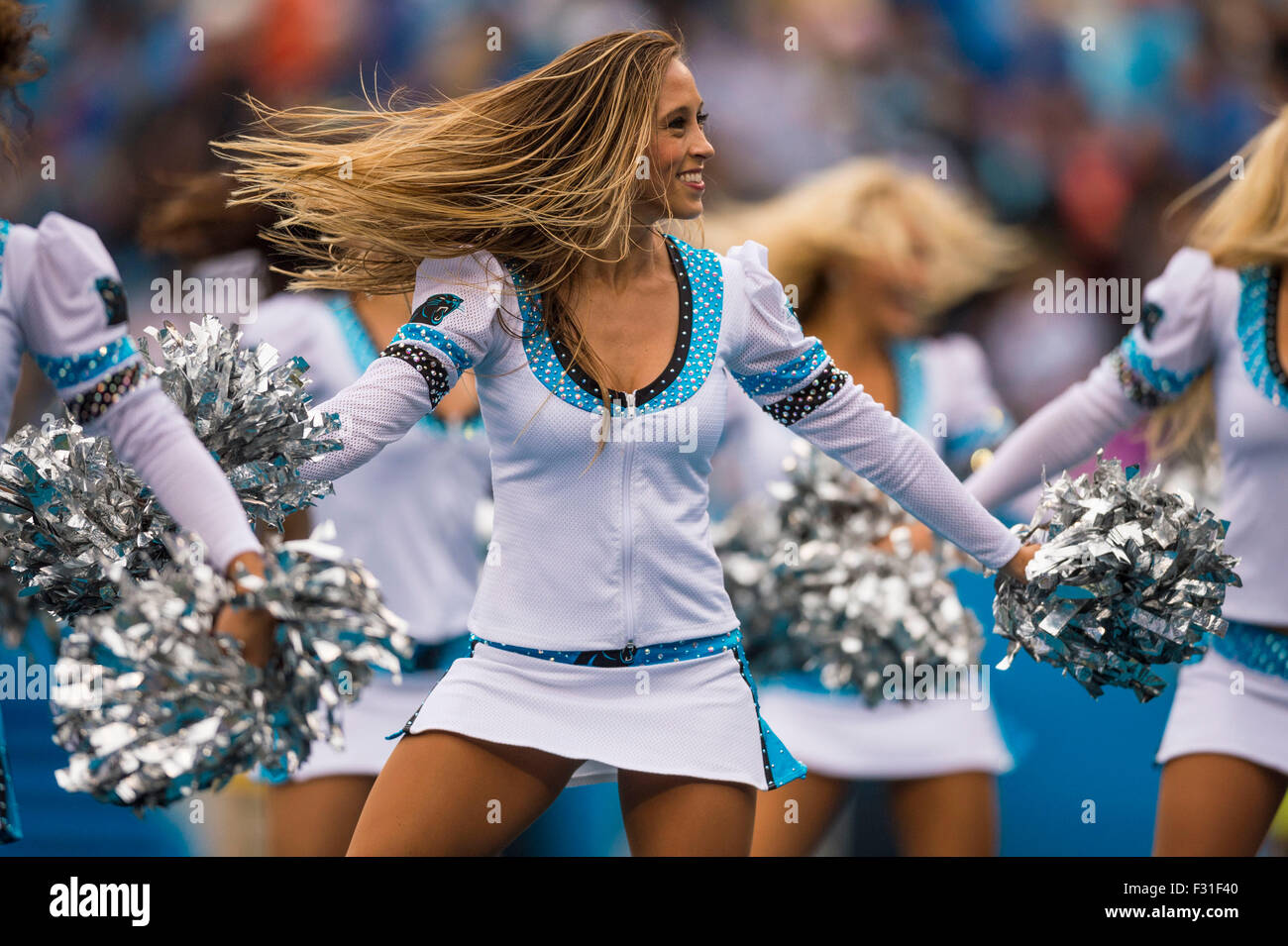 Carolina panthers cheerleaders hi-res stock photography and images - Alamy