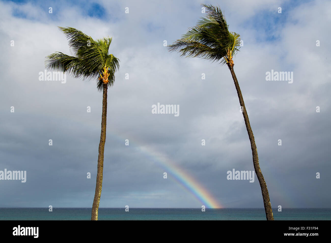 A rainbow between two palm trees Stock Photo - Alamy