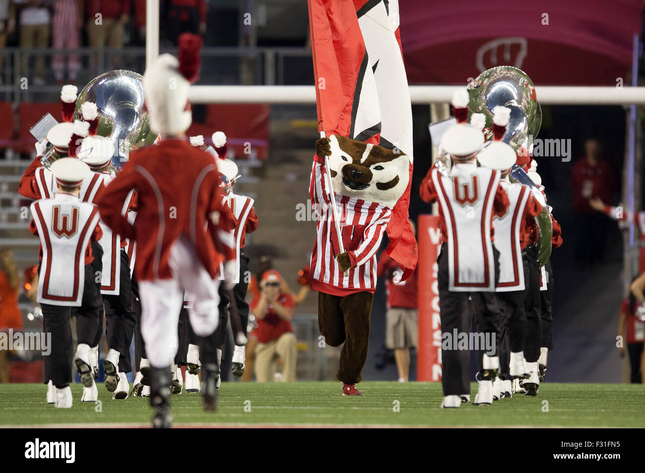 Madison, Wisconsin, USA. 26th September, 2015. Bucky Badger runs the ...