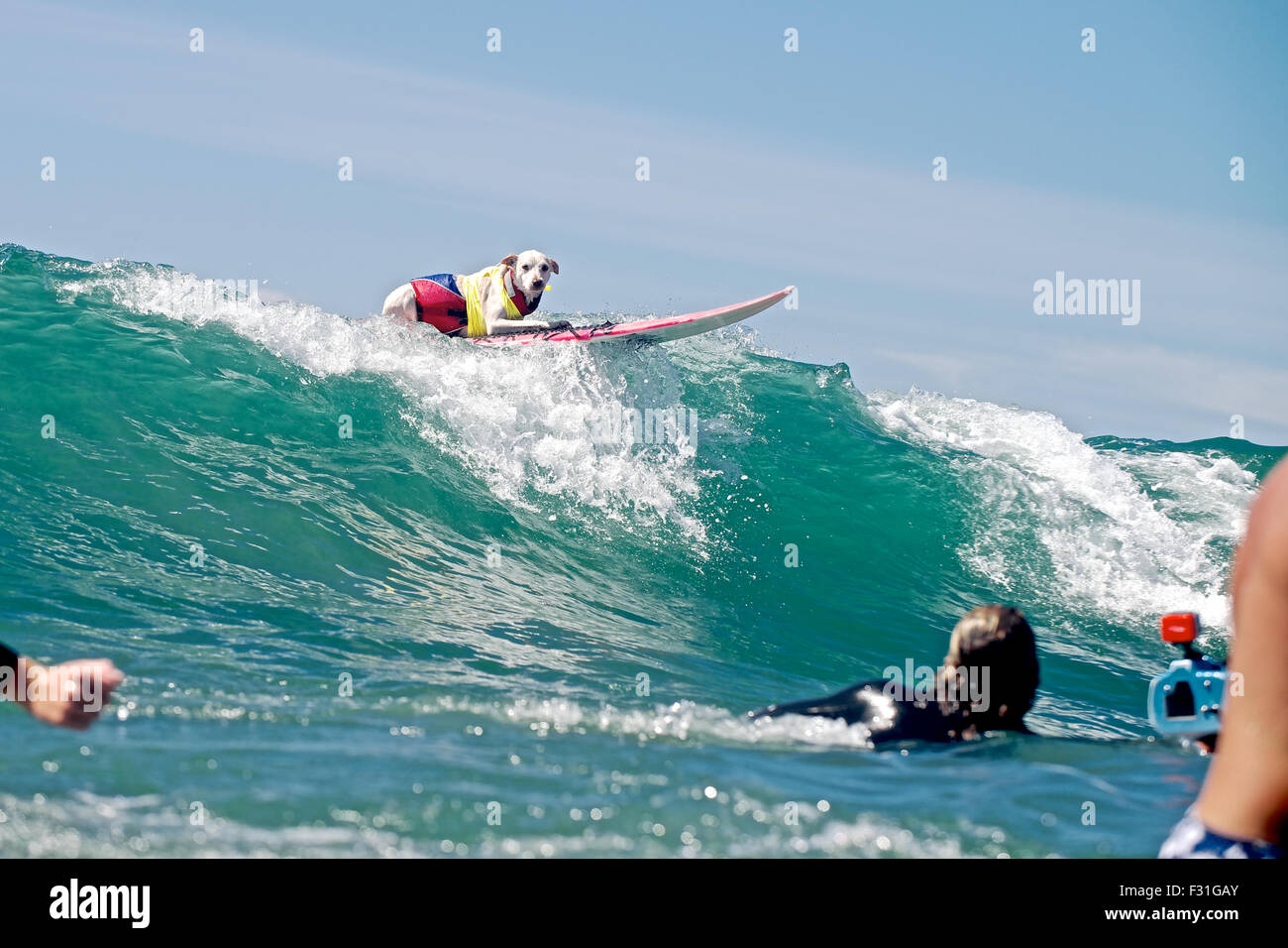Missed wave hi-res stock photography and images - Alamy