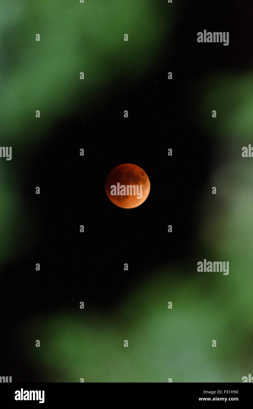Full lunar eclipse hi-res stock photography and images - Alamy
