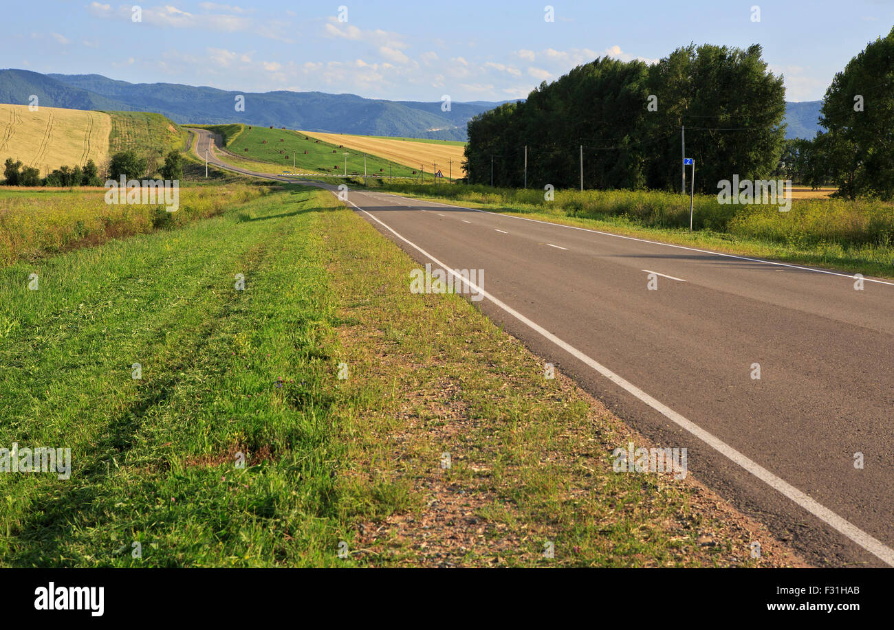 Asphalt road among green fields hi-res stock photography and images - Alamy
