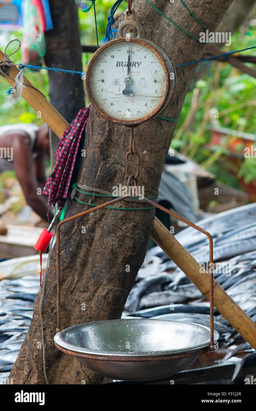 Authentic scale fish market in hi-res stock photography and images - Alamy