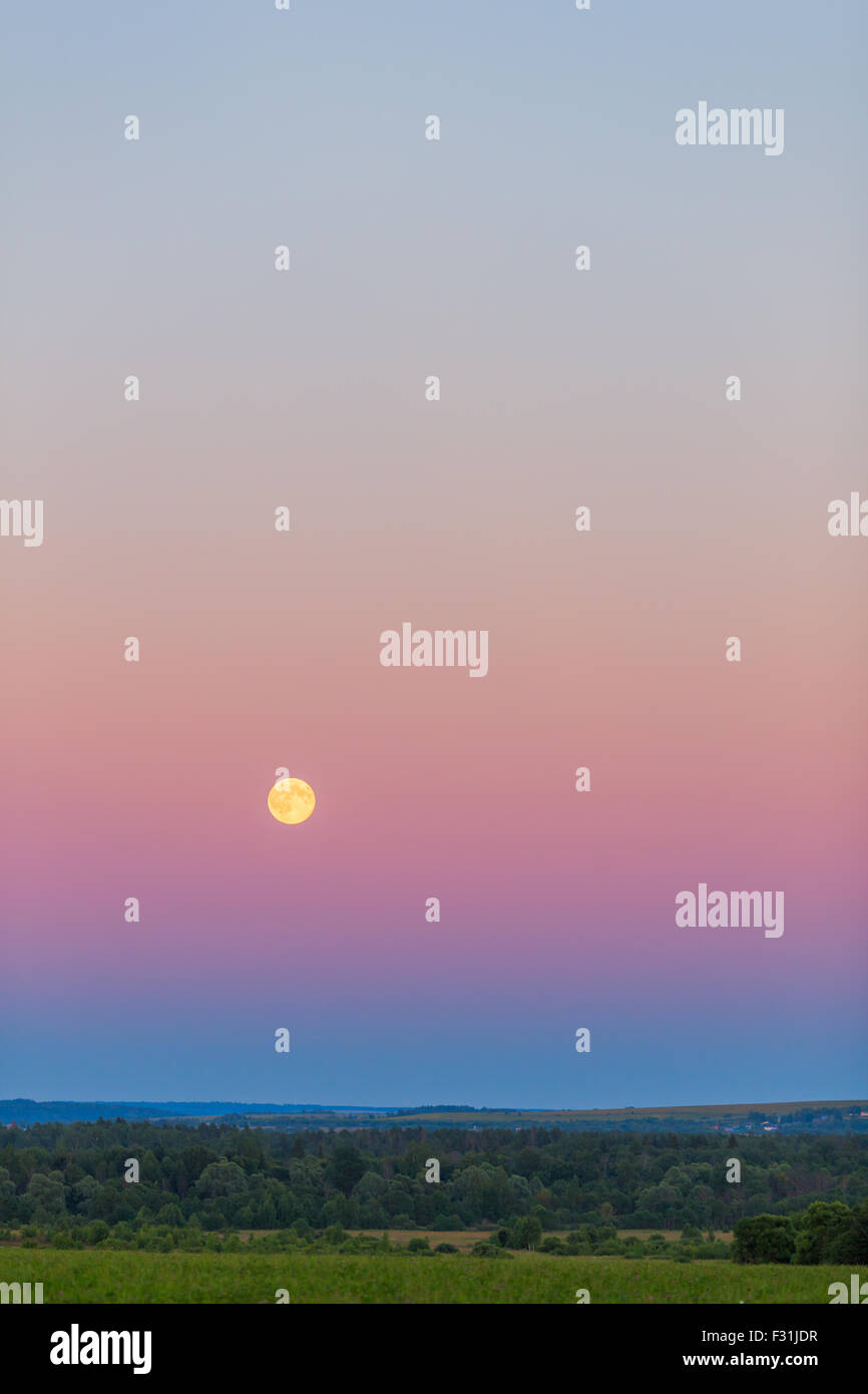 Moon over the field and forest night evening field Stock Photo - Alamy