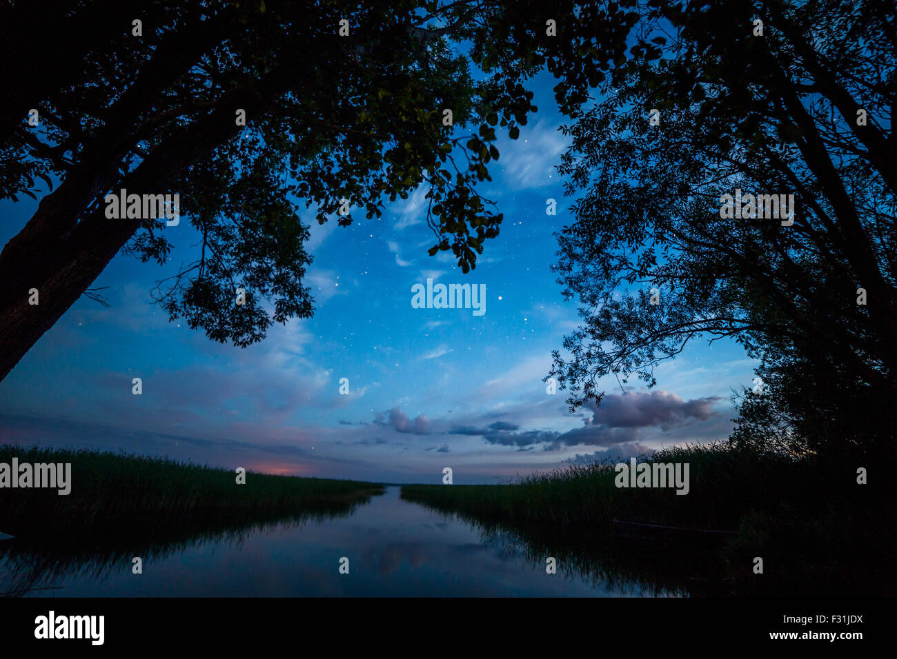 river shore landscape trees sky night view Stock Photo - Alamy