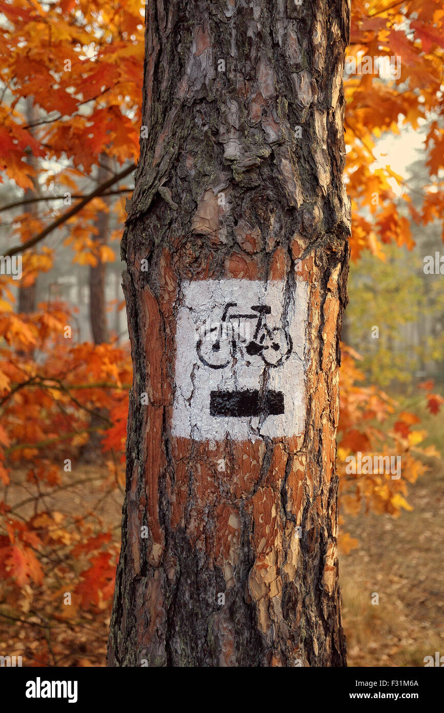 Bicycle forest woods autumn hi-res stock photography and images - Alamy