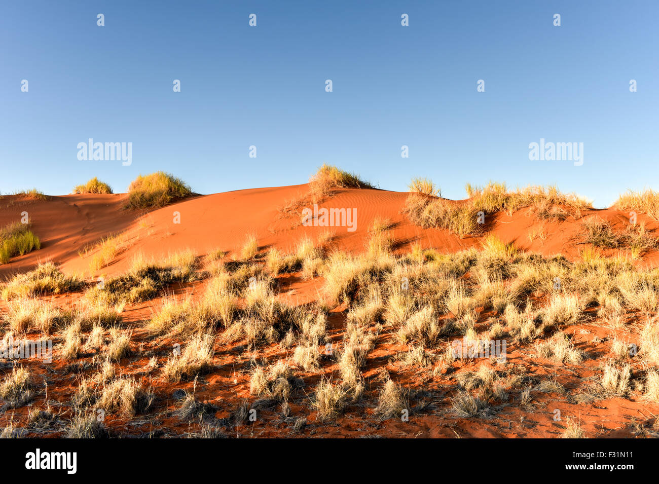 Desert landscape in the NamibRand Nature Reserve in Namibia Stock Photo ...