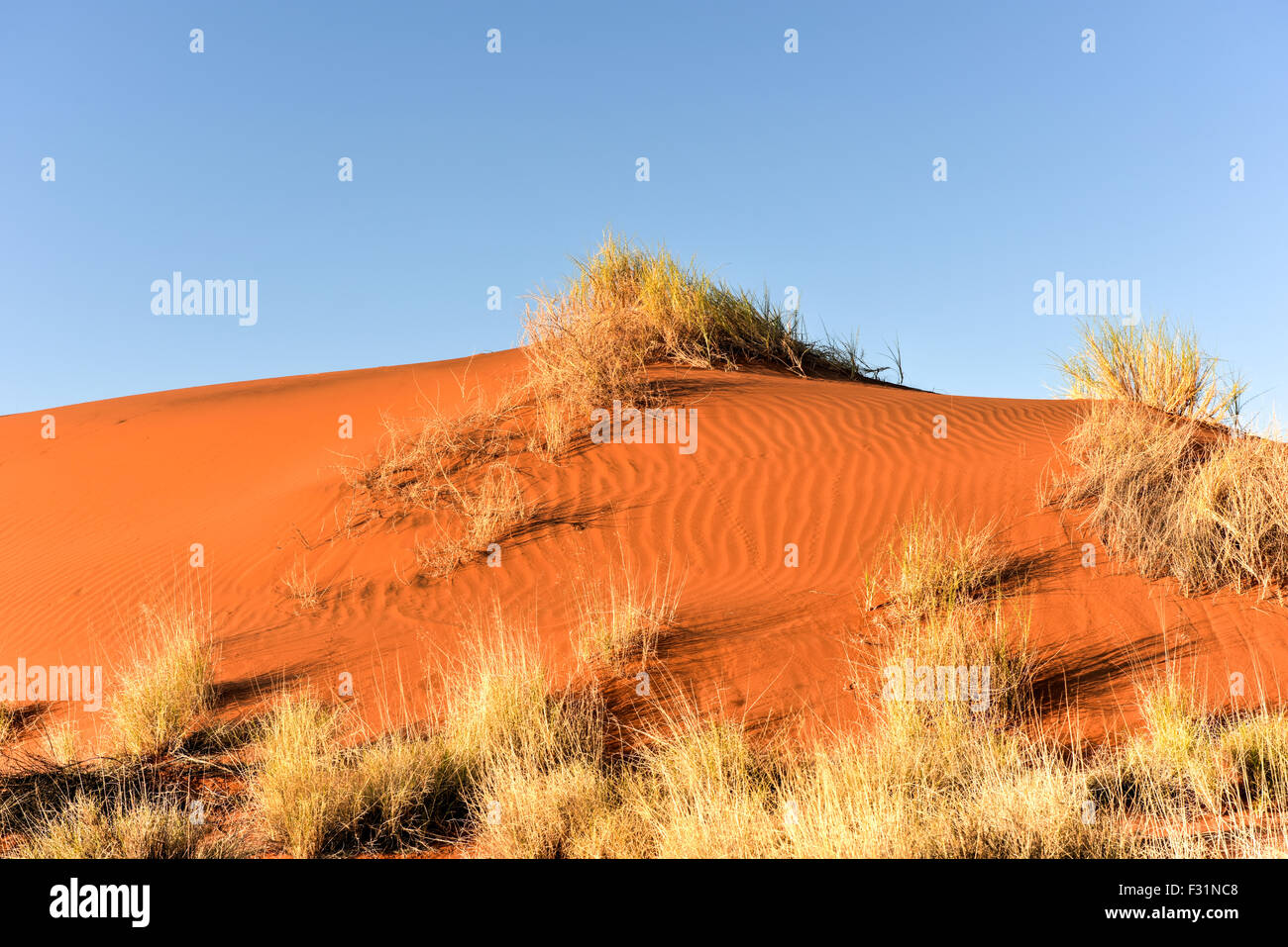 Desert landscape in the NamibRand Nature Reserve in Namibia Stock Photo ...
