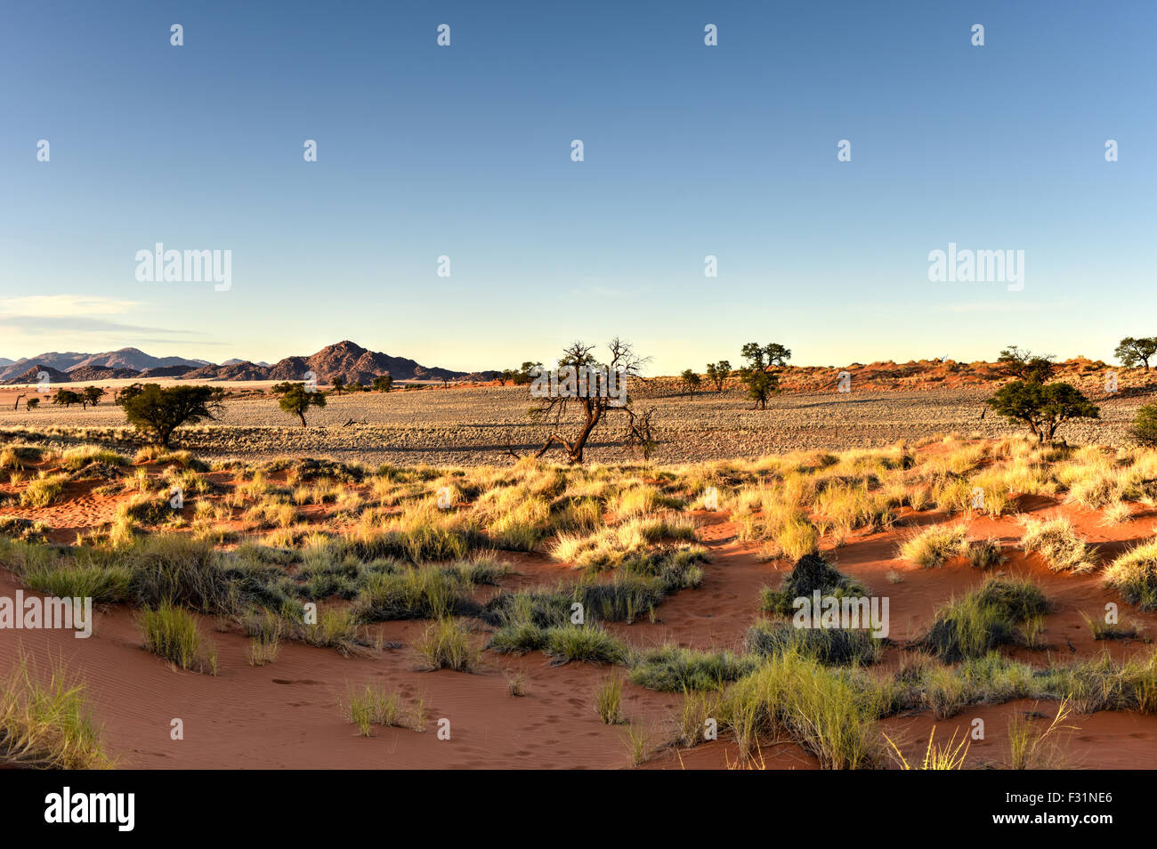 Desert landscape in the NamibRand Nature Reserve in Namibia Stock Photo ...