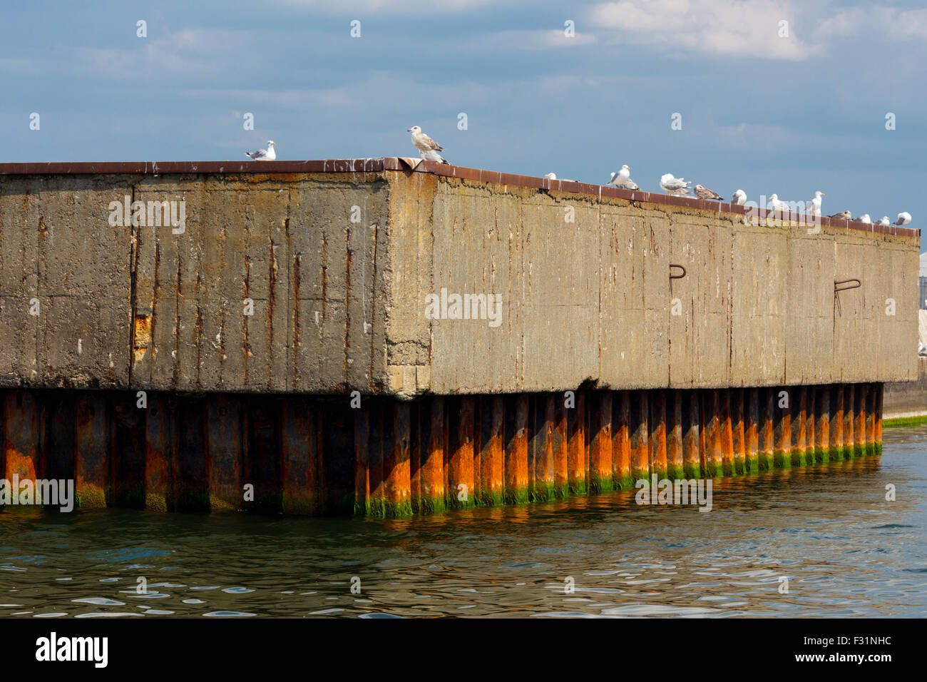 Old concrete pier with rusty iron columns and seagull Stock Photo - Alamy