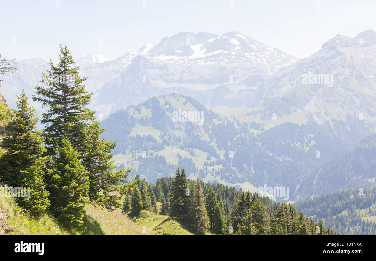 Typical view of the Swiss alps, trees and mountains Stock Photo - Alamy
