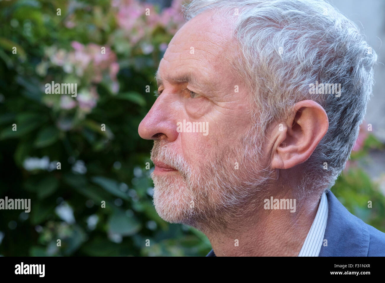 Labour mp islington hi-res stock photography and images - Alamy
