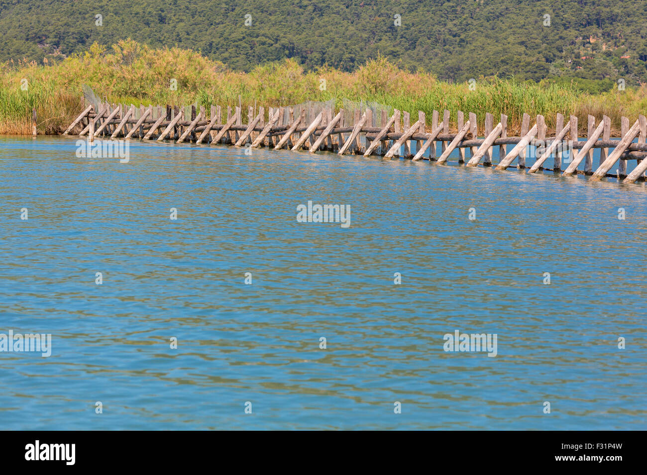 Wooden protection barrier on the lake construction Stock Photo - Alamy
