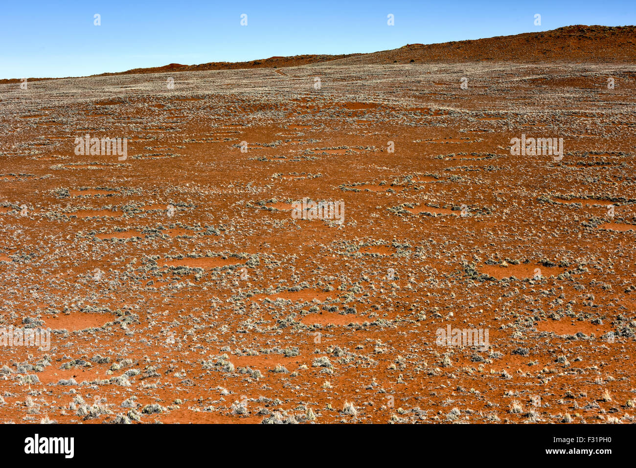 Fairy circles, located in the Namib Desert, in the Namib-Naukluft ...