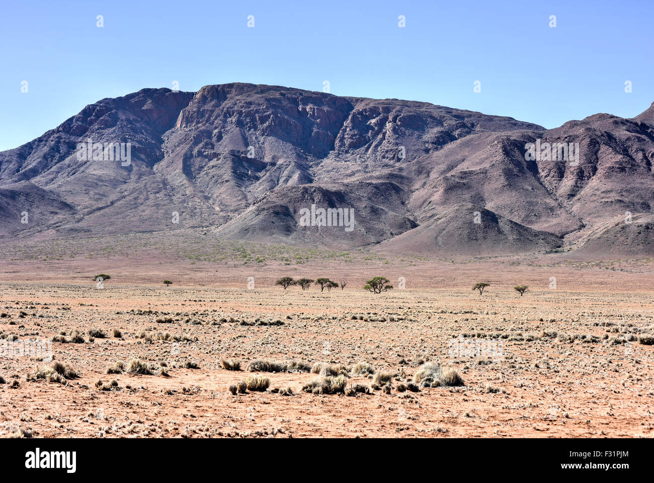 Fairy circles, located in the Namib Desert, in the Namib-Naukluft ...