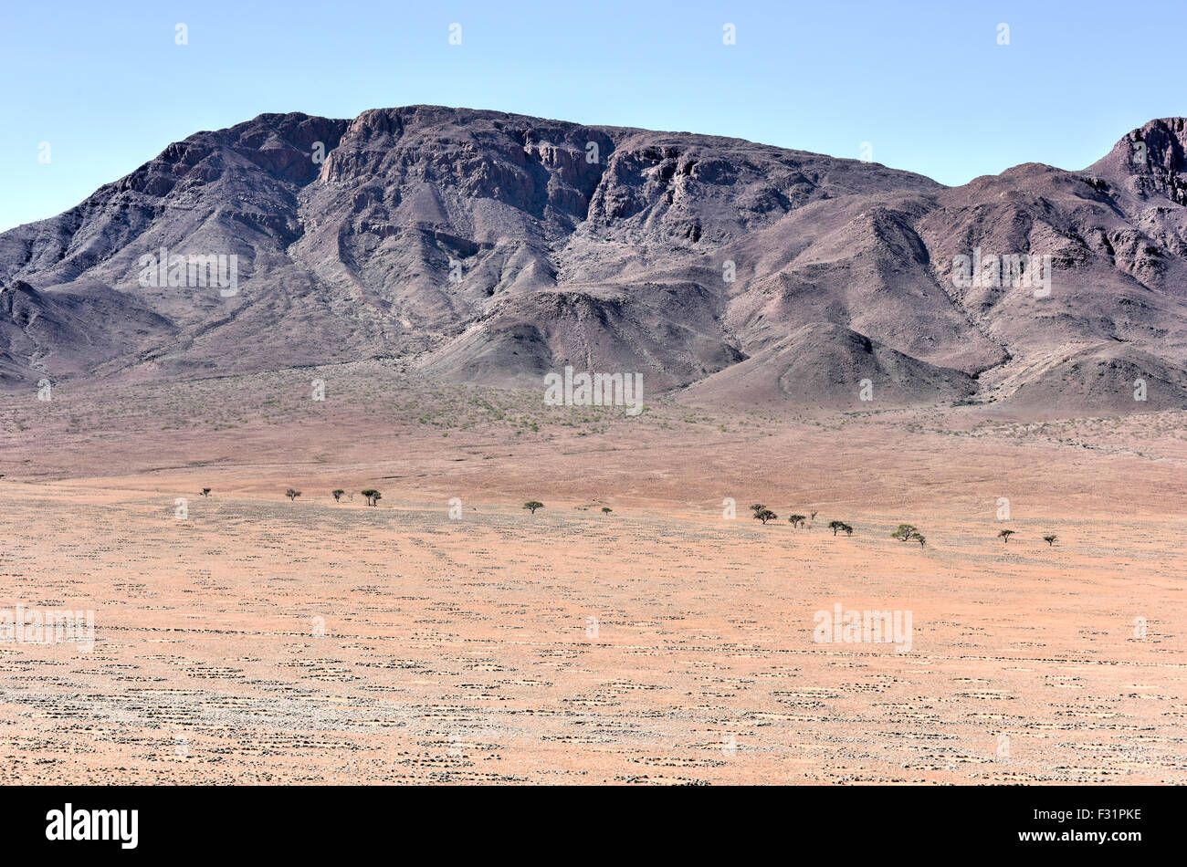 Fairy circles, located in the Namib Desert, in the Namib-Naukluft ...