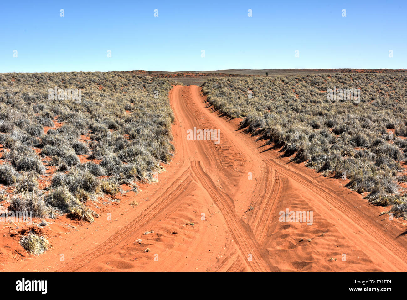 Desert landscape in the NamibRand Nature Reserve in Namibia Stock Photo ...