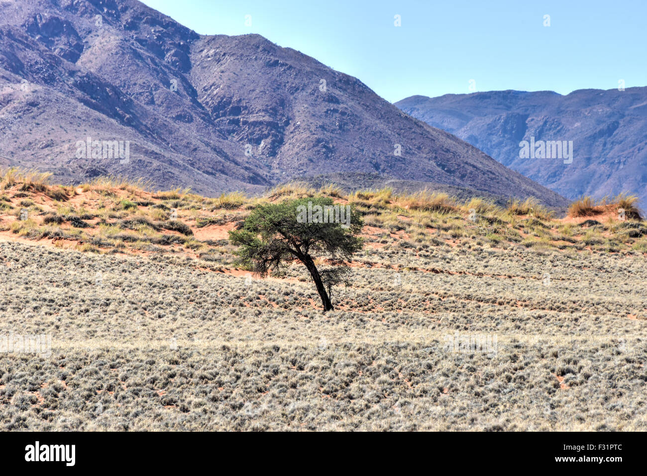 Desert landscape in the NamibRand Nature Reserve in Namibia Stock Photo ...