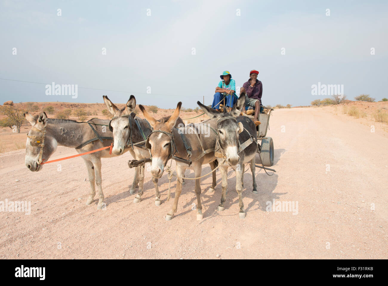 Donkey carts on a dirt road, Damaraland, Namibia Stock Photo - Alamy