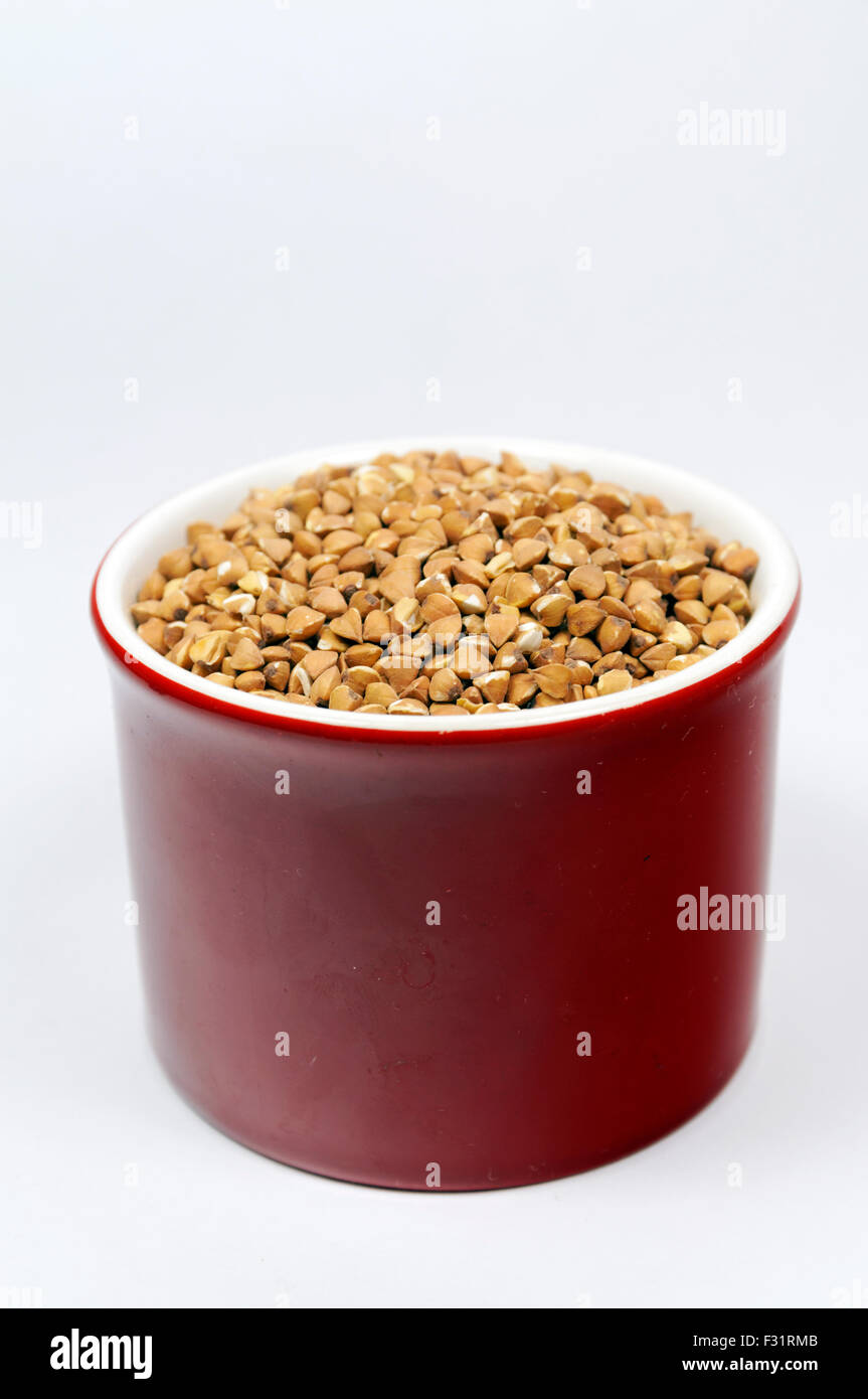 Buckwheat, Fagopyrum esculentum Stock Photo - Alamy