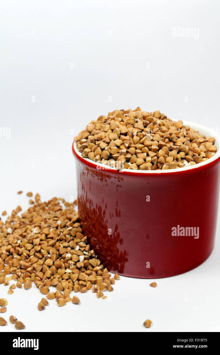 Buckwheat fagopyrum esculentum hi-res stock photography and images - Alamy