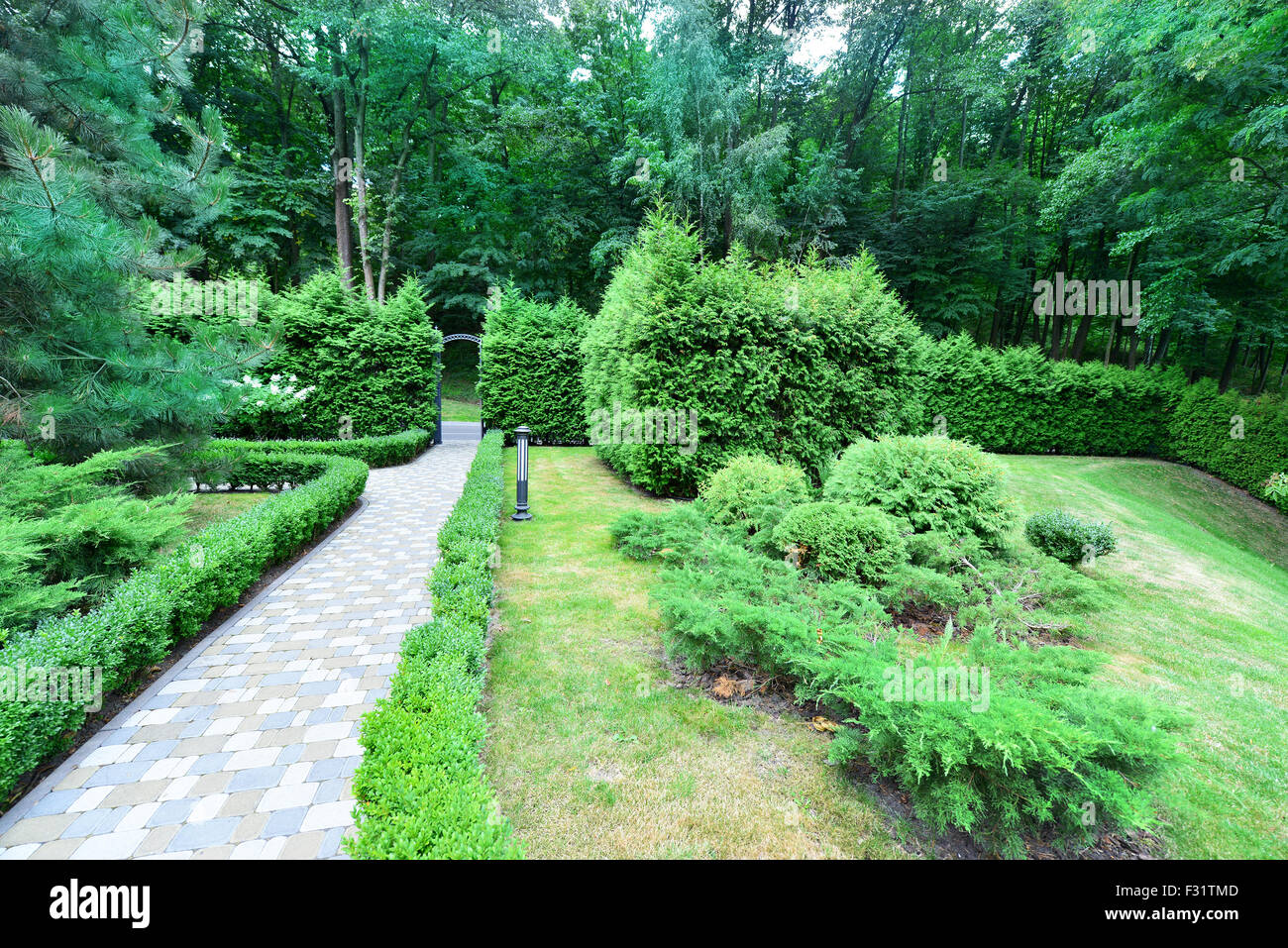 summer park in Ukraine town, Green park Stock Photo - Alamy