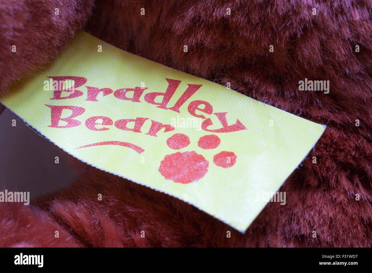 Bradley bear logo hi-res stock photography and images - Alamy