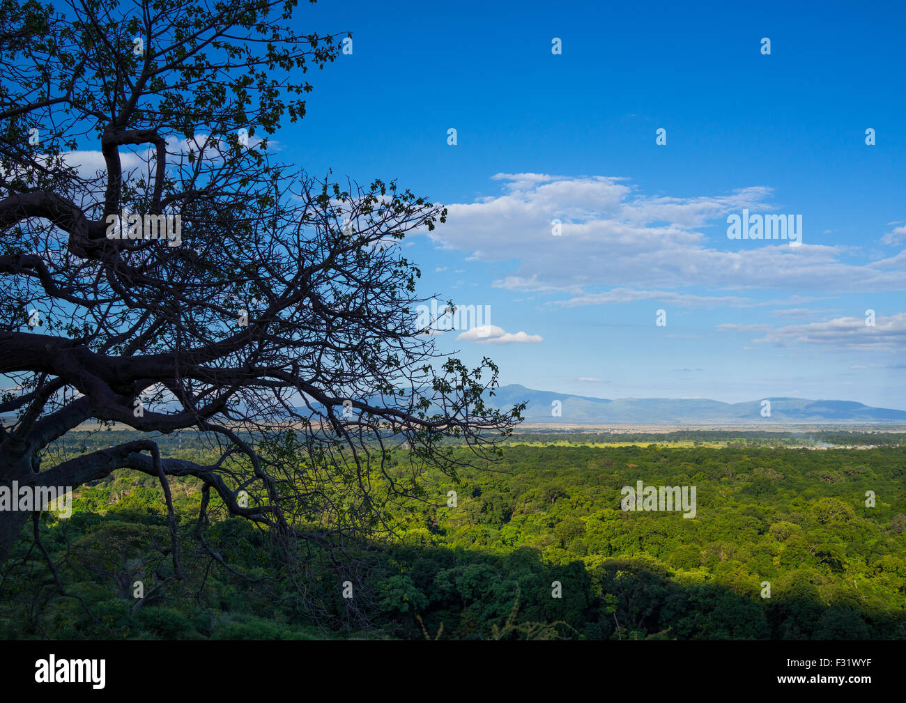 Tanzania, Park Manyara, Arusha, landscape with clouds Stock Photo - Alamy
