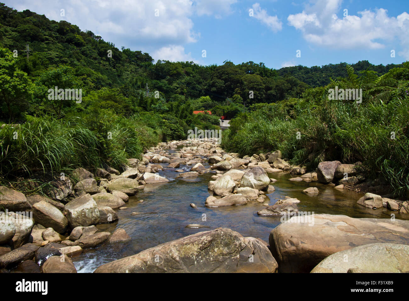beautiful stream in forest Taiwan Stock Photo - Alamy