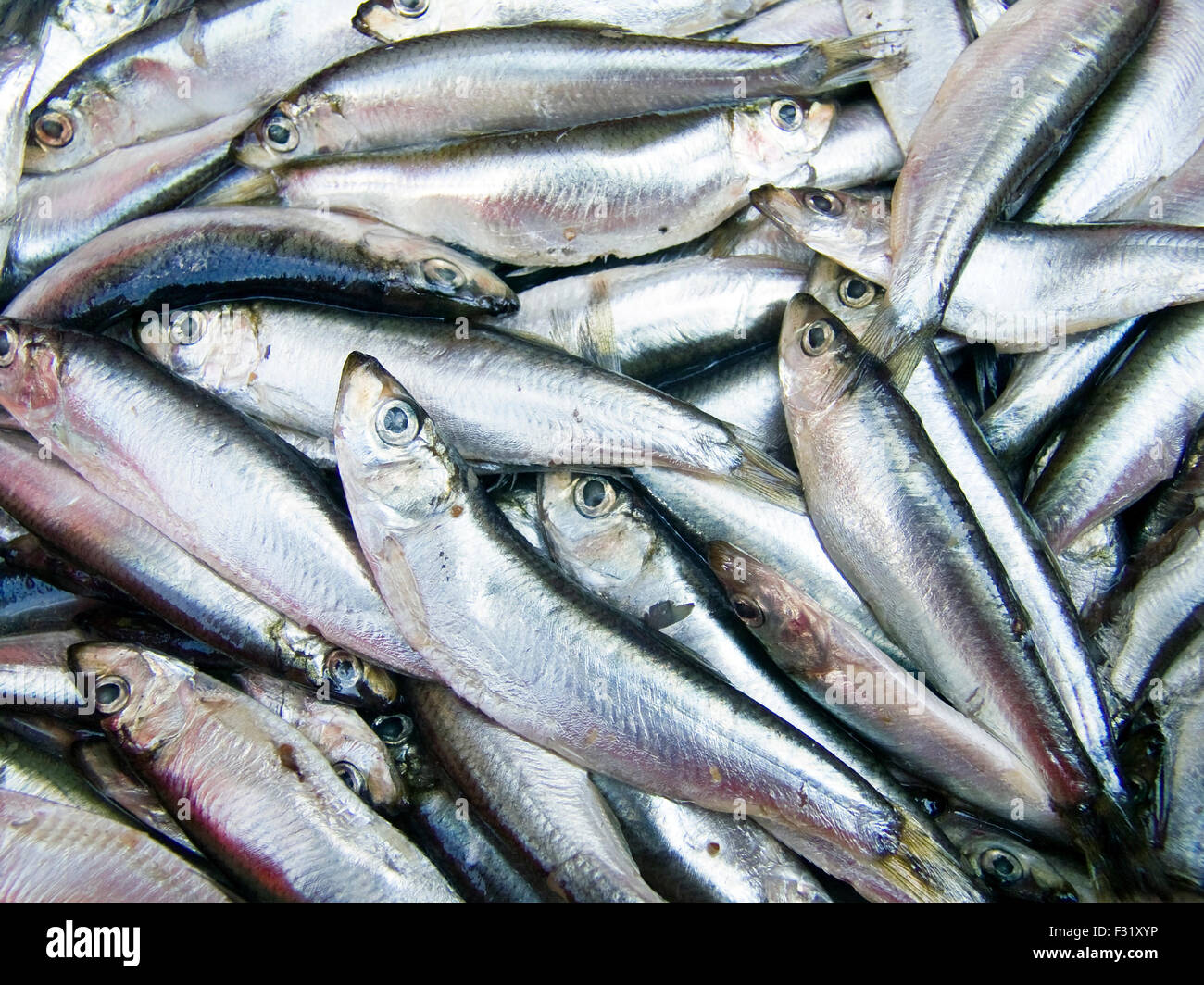 A pile of beautiful small fishes on a counter Stock Photo - Alamy
