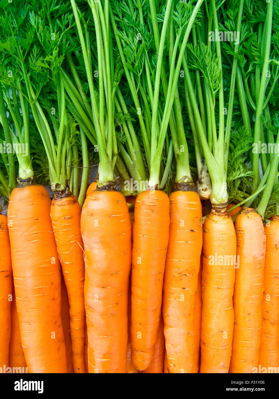 A pile of beautiful carrots on a counter Stock Photo - Alamy