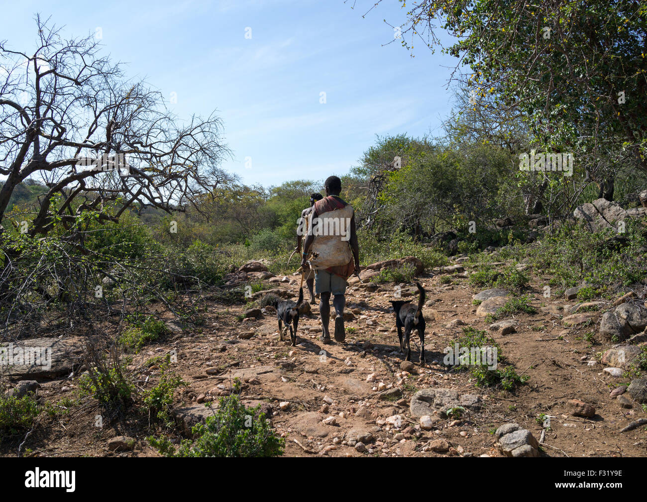 Tanzania, Serengeti Plateau, Lake Eyasi, hadzabe tribe men hunting with ...