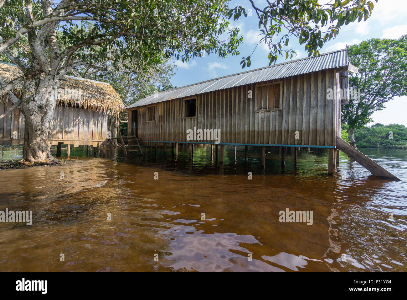 Rainforest House On Stilts House Rainforest On Stilts Photos And