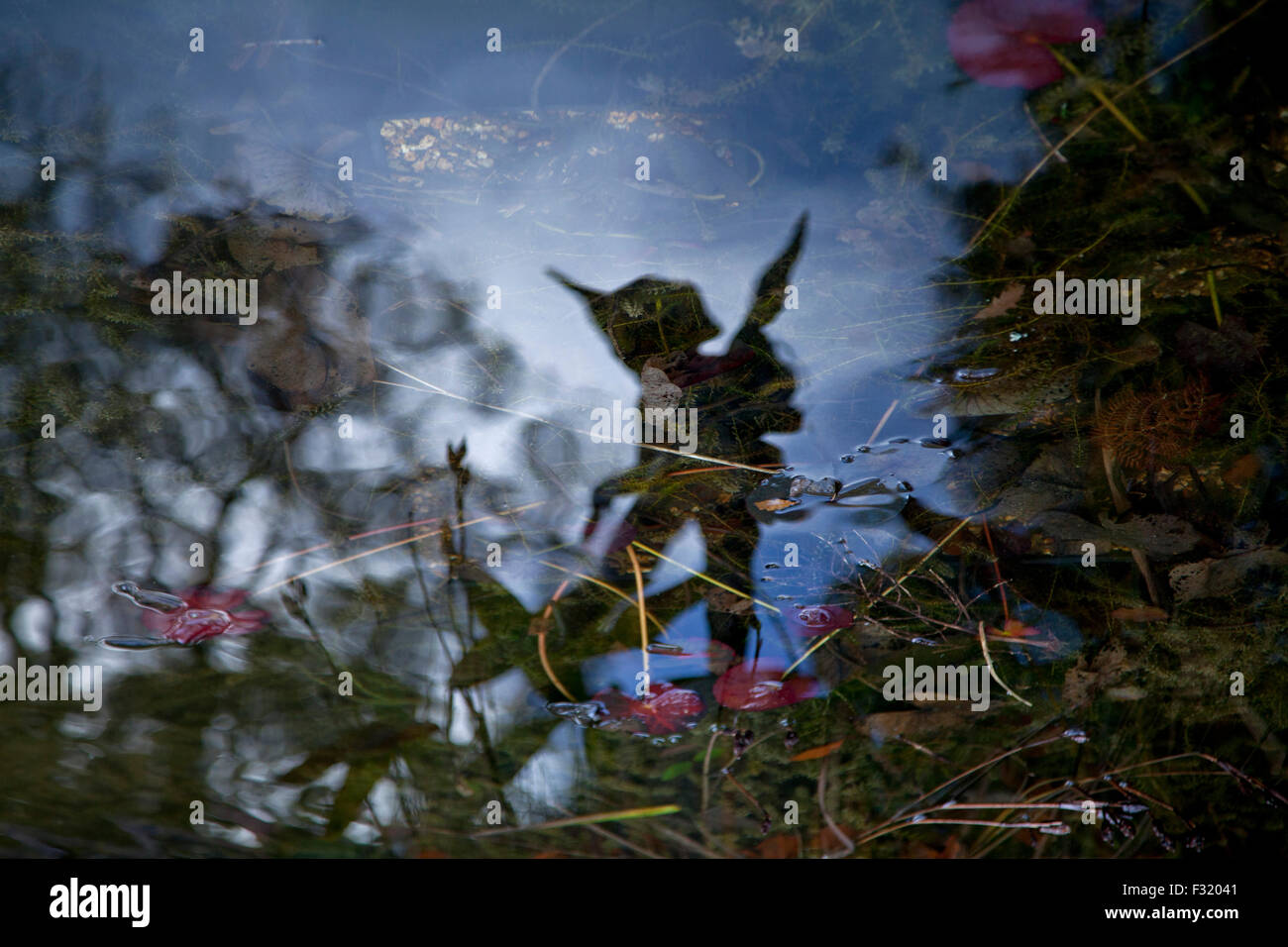 Mythical realms hi-res stock photography and images - Alamy