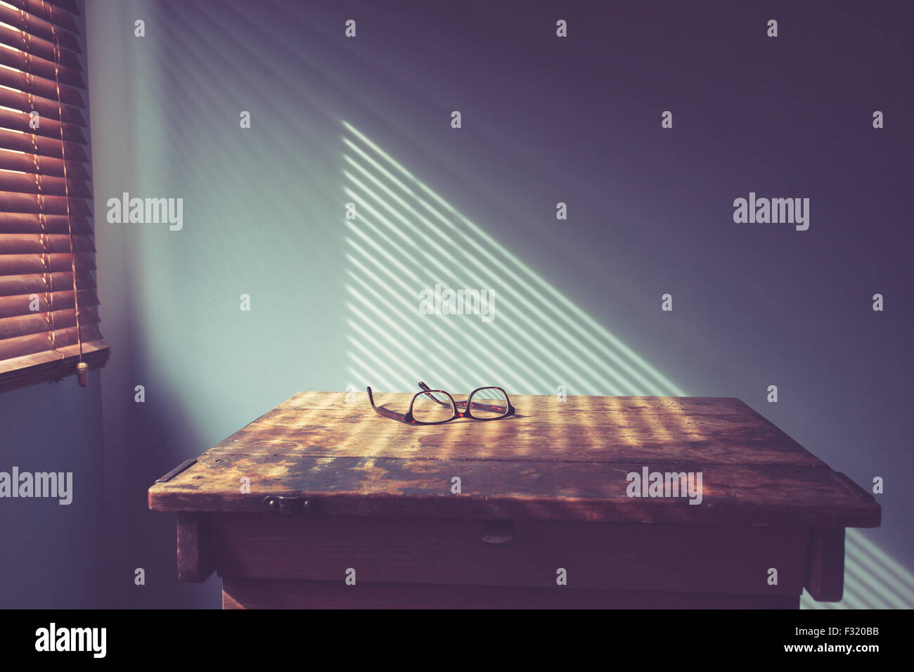 Window Blind Glasses