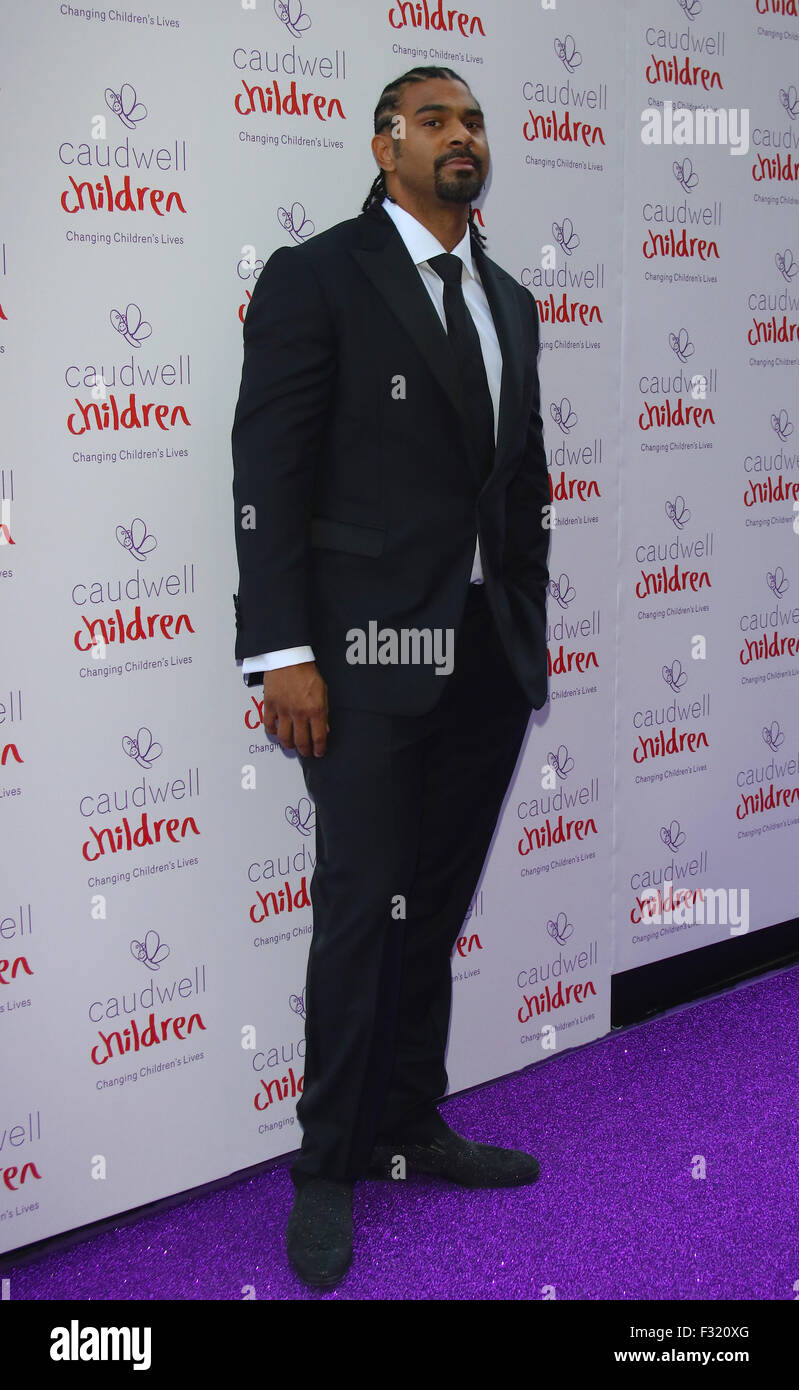 London, UK, 25th June 2015: David Haye attends The Caudwell Children ...