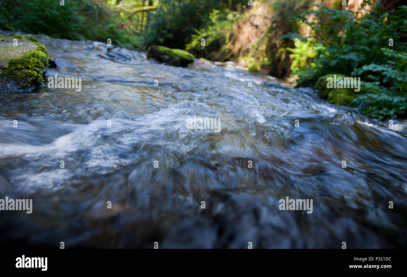 Rushing river landscape Stock Photo - Alamy