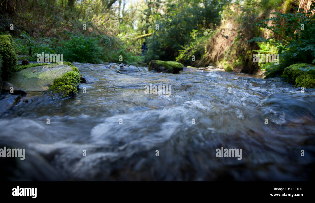Rushing river landscape Stock Photo - Alamy