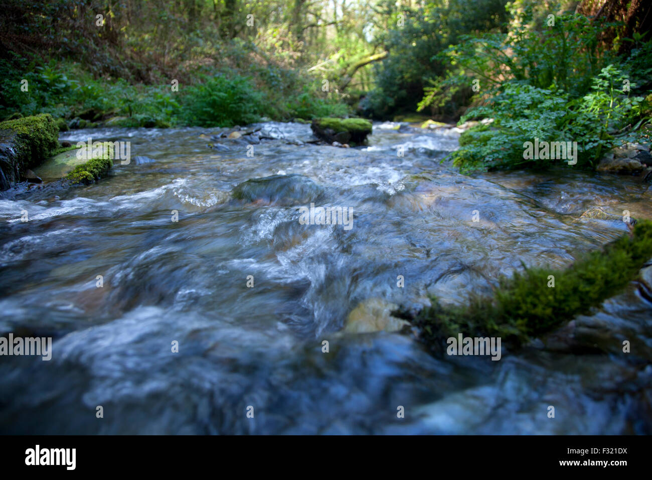 Rushing river landscape Stock Photo - Alamy