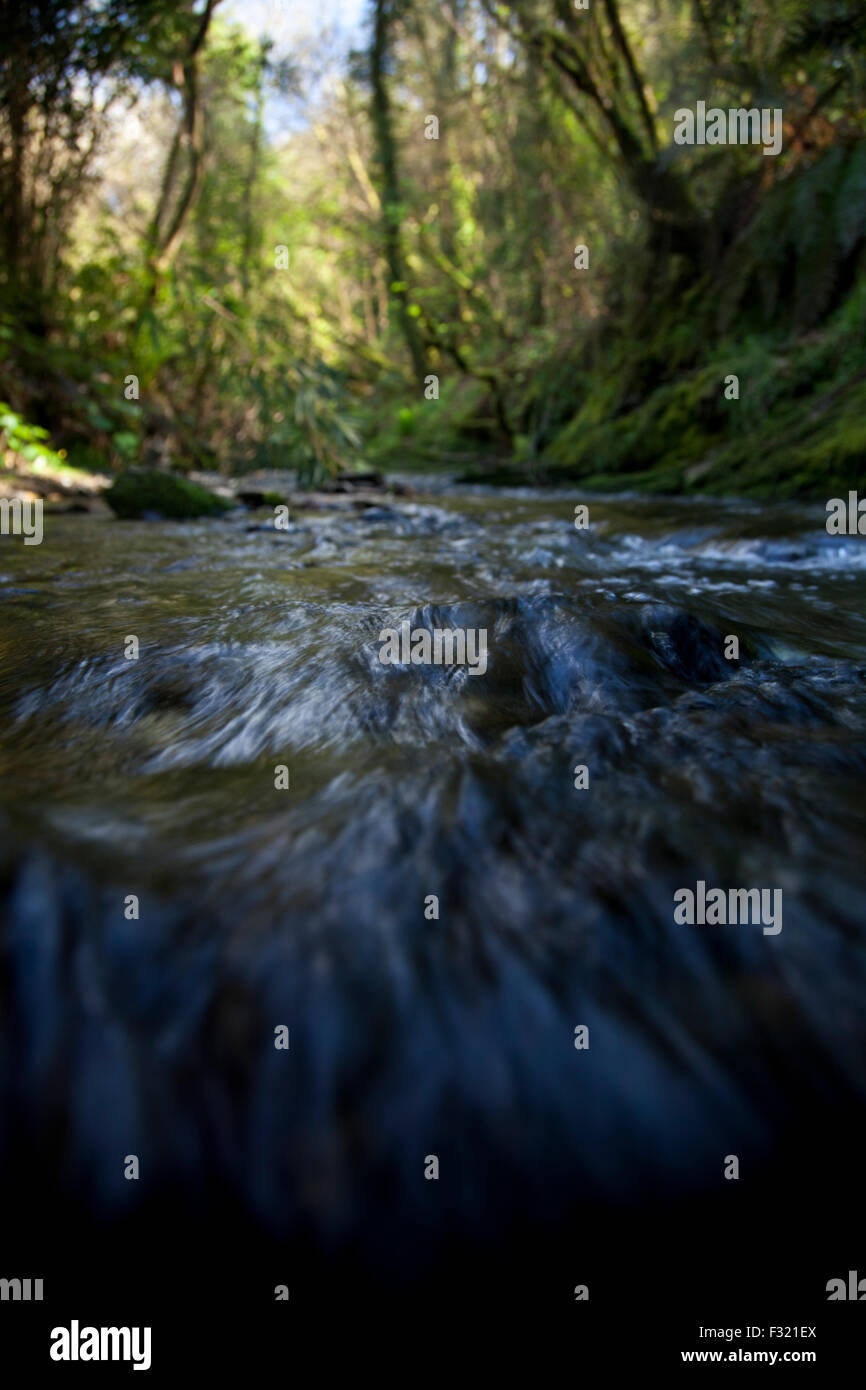 Rushing river portrait Stock Photo - Alamy