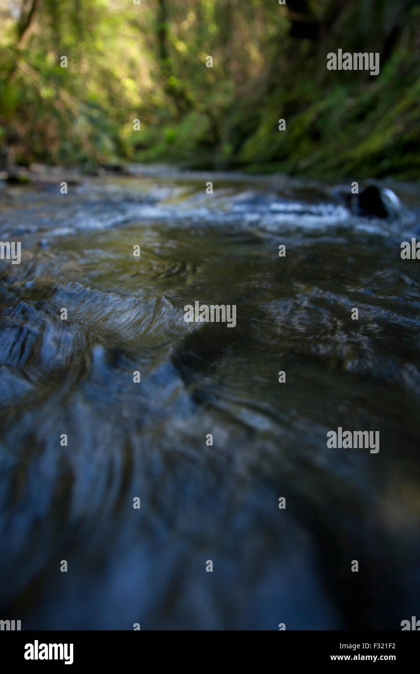rushing river portrait Stock Photo - Alamy