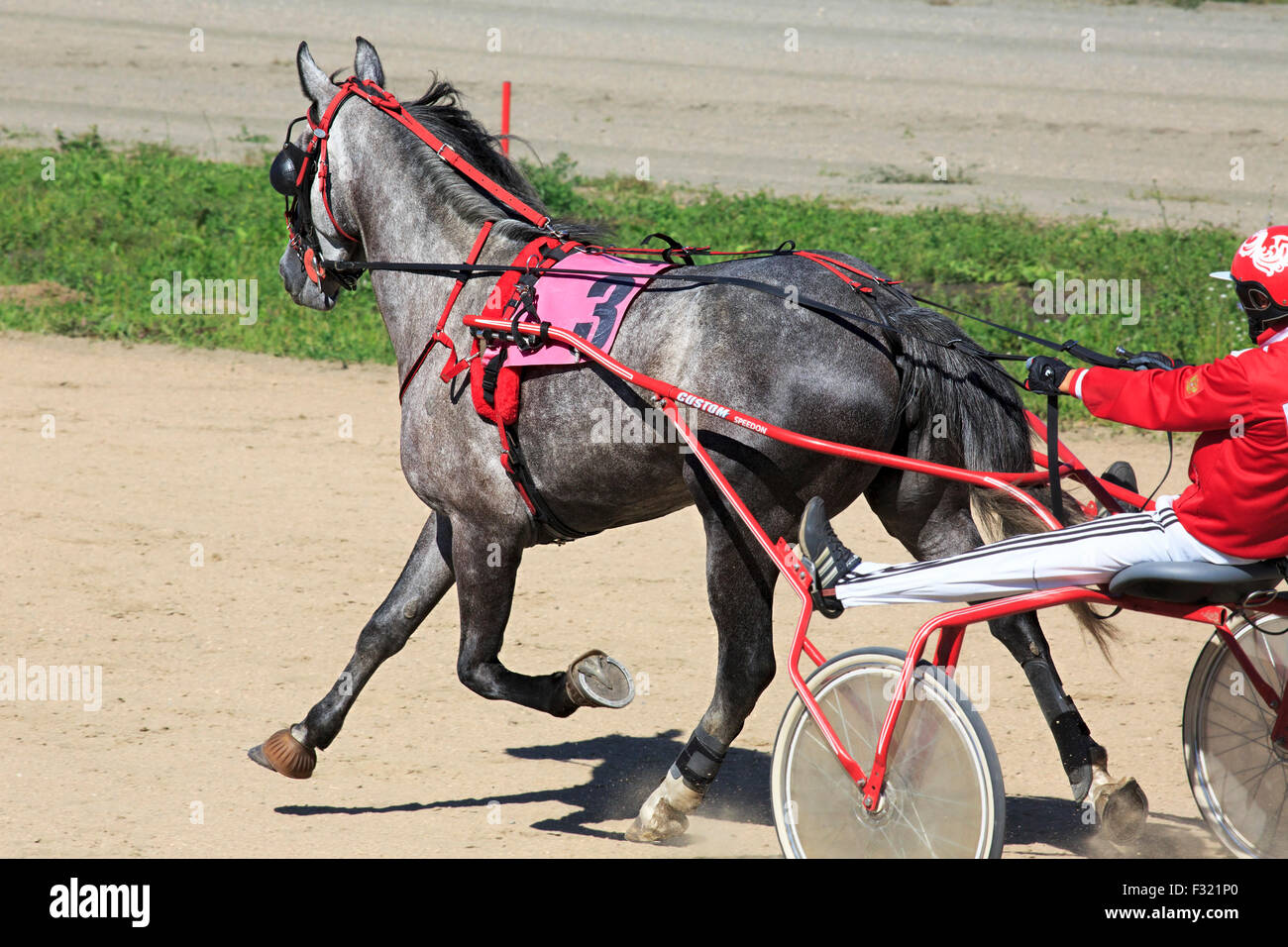 Trot race course hi-res stock photography and images - Alamy