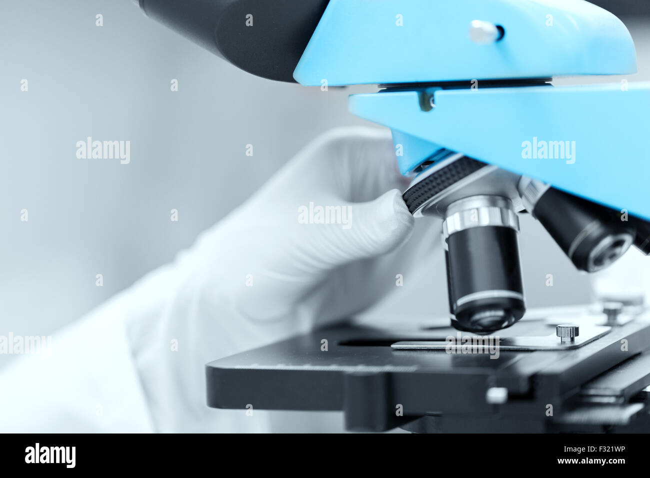 Hand setting hi-res stock photography and images - Alamy