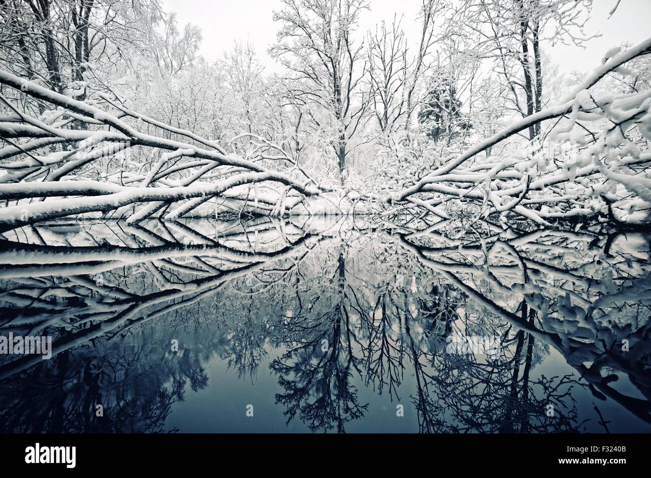 Beautiful winter day Stock Photo - Alamy