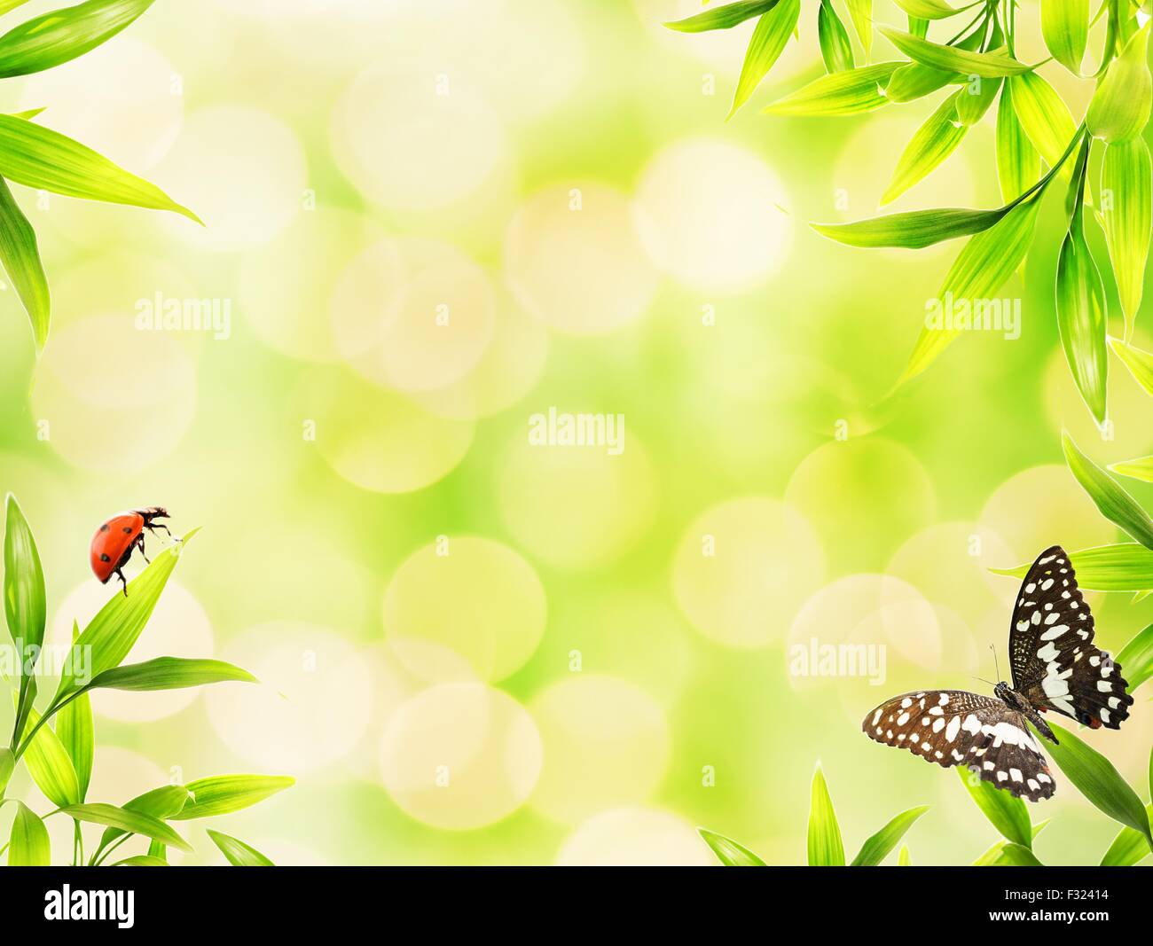 Butterfly and ladybugs hi-res stock photography and images - Alamy