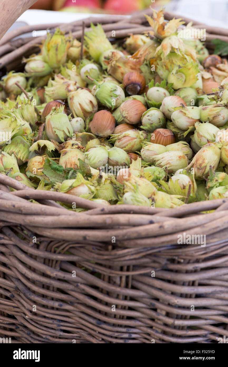Cob nut hi-res stock photography and images - Alamy