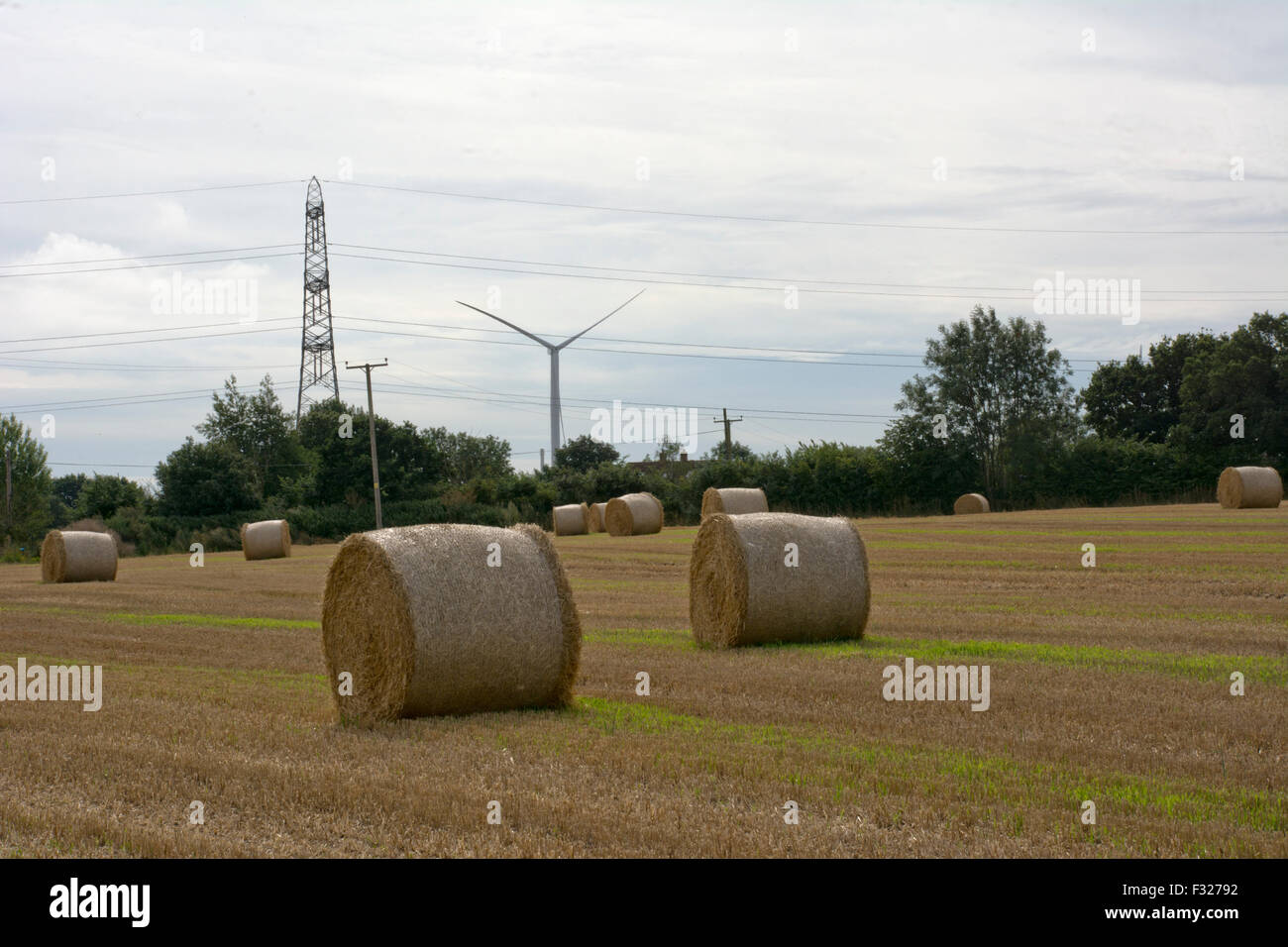 Circular bales of hay in a field Stock Photo - Alamy