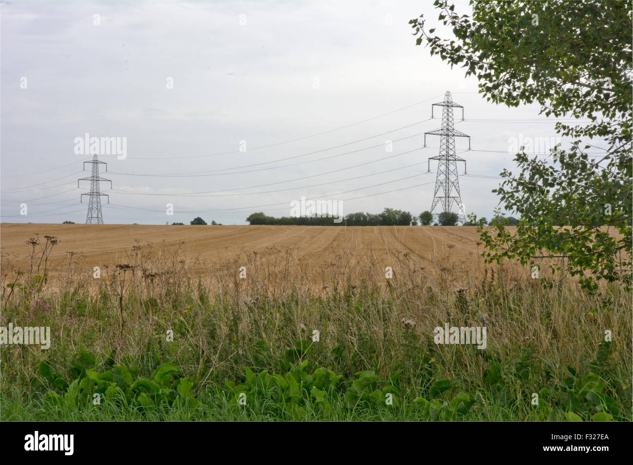 Electricity pylons in countryside farm field hi-res stock photography ...